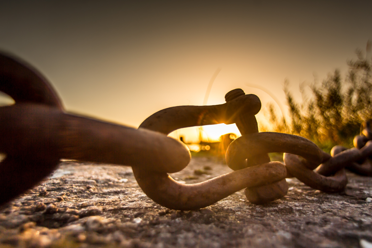 From Failure To Forgiveness: Hope For Those Who Mess Up